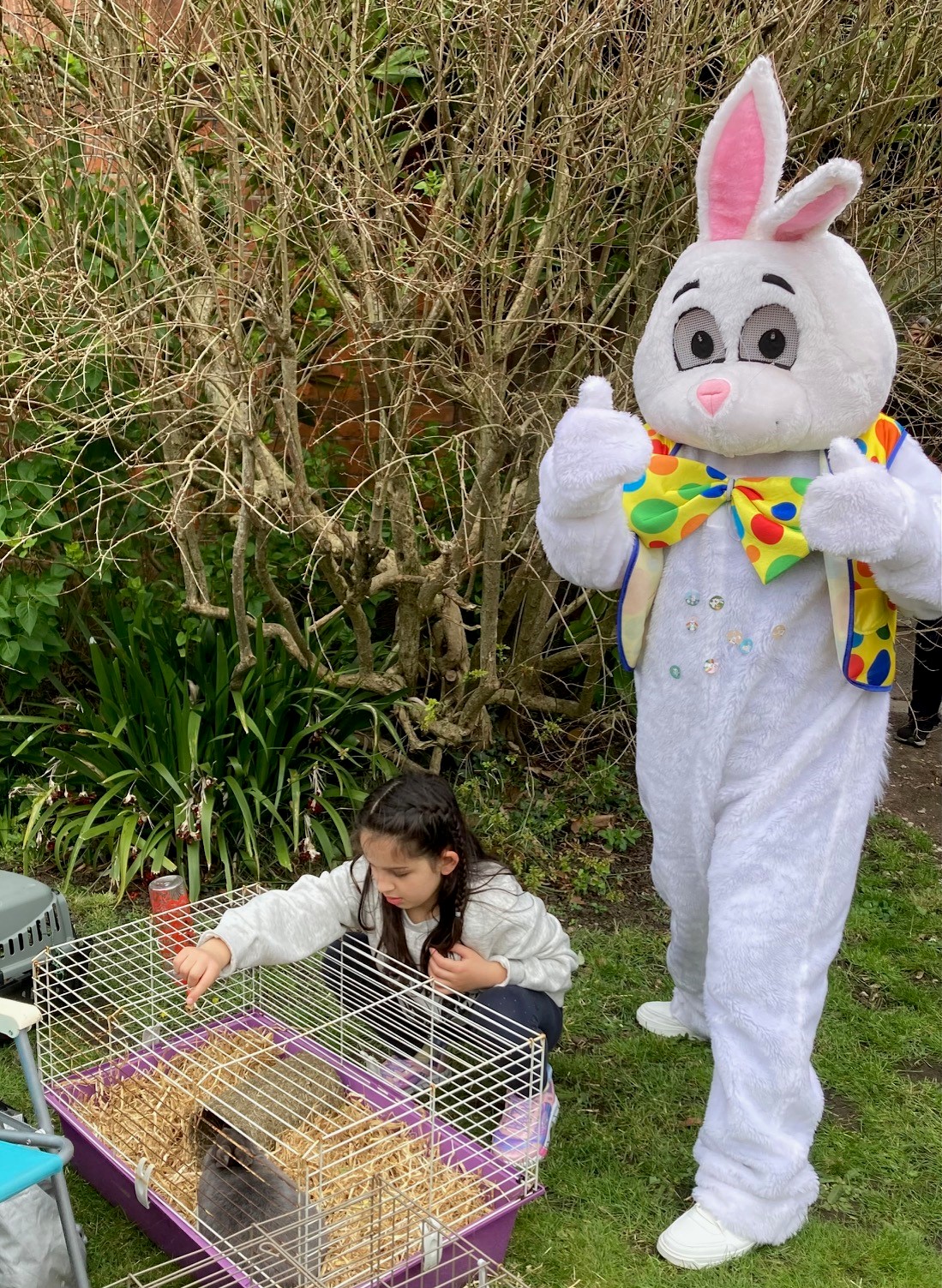 Bunnies in the Beds 2024 – Charlton and Blackheath Amateur ...